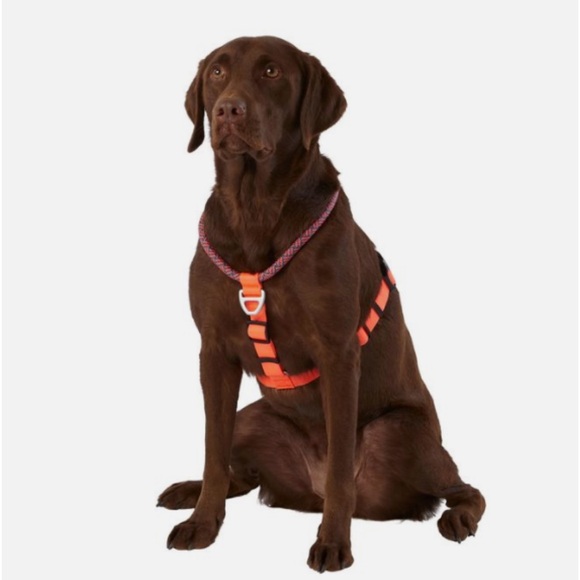 Dog | Dog Harness Arcadia Rope Xx Large Orange Reflective Harness ...